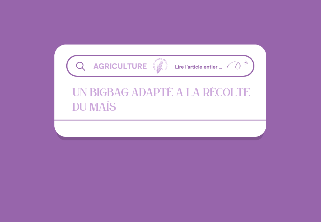 Stockage et récolte du maïs - Baobag